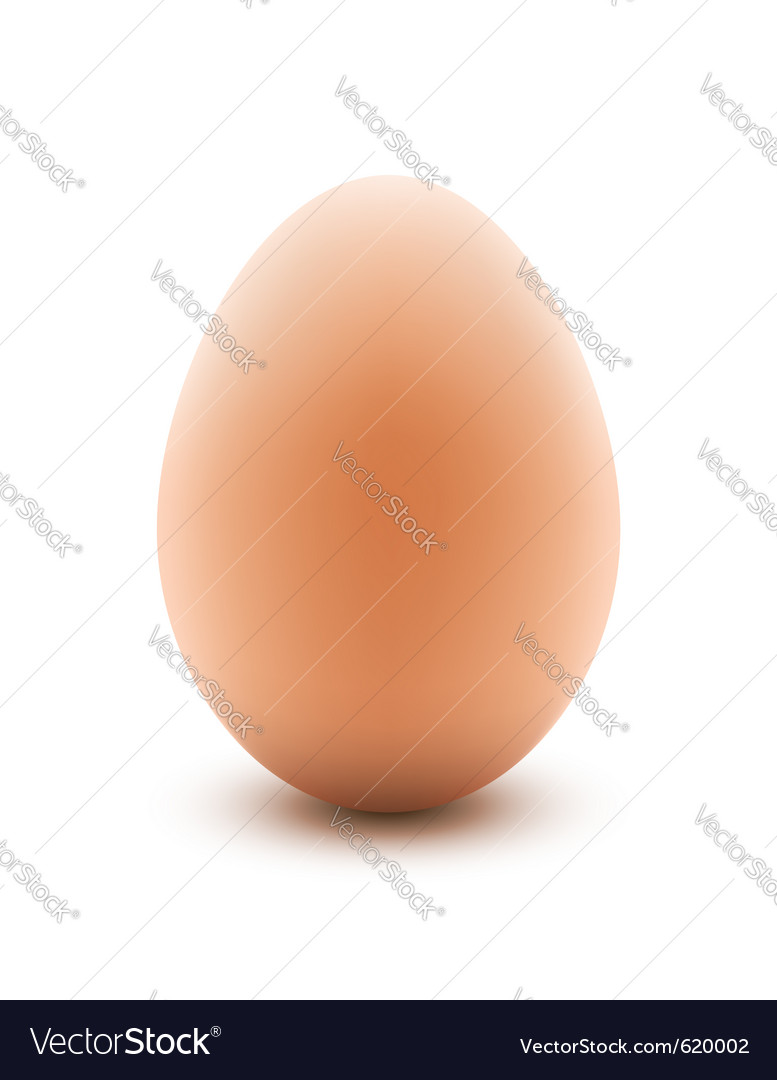 Egg Royalty Free Vector Image - VectorStock