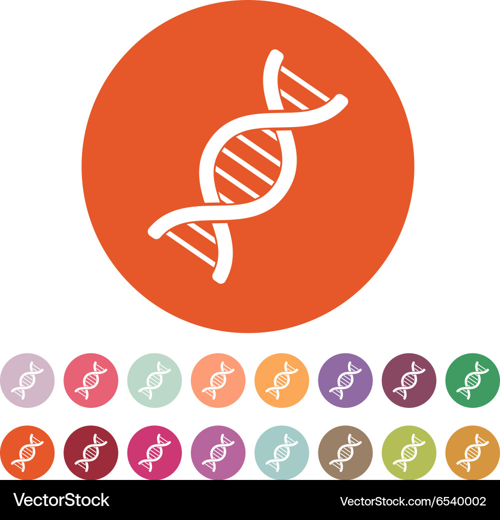 The dna icon Genetics and medicine molecule Vector Image