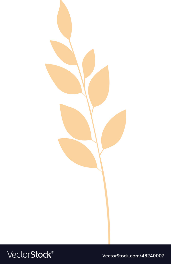 Branch with leaves Royalty Free Vector Image - VectorStock
