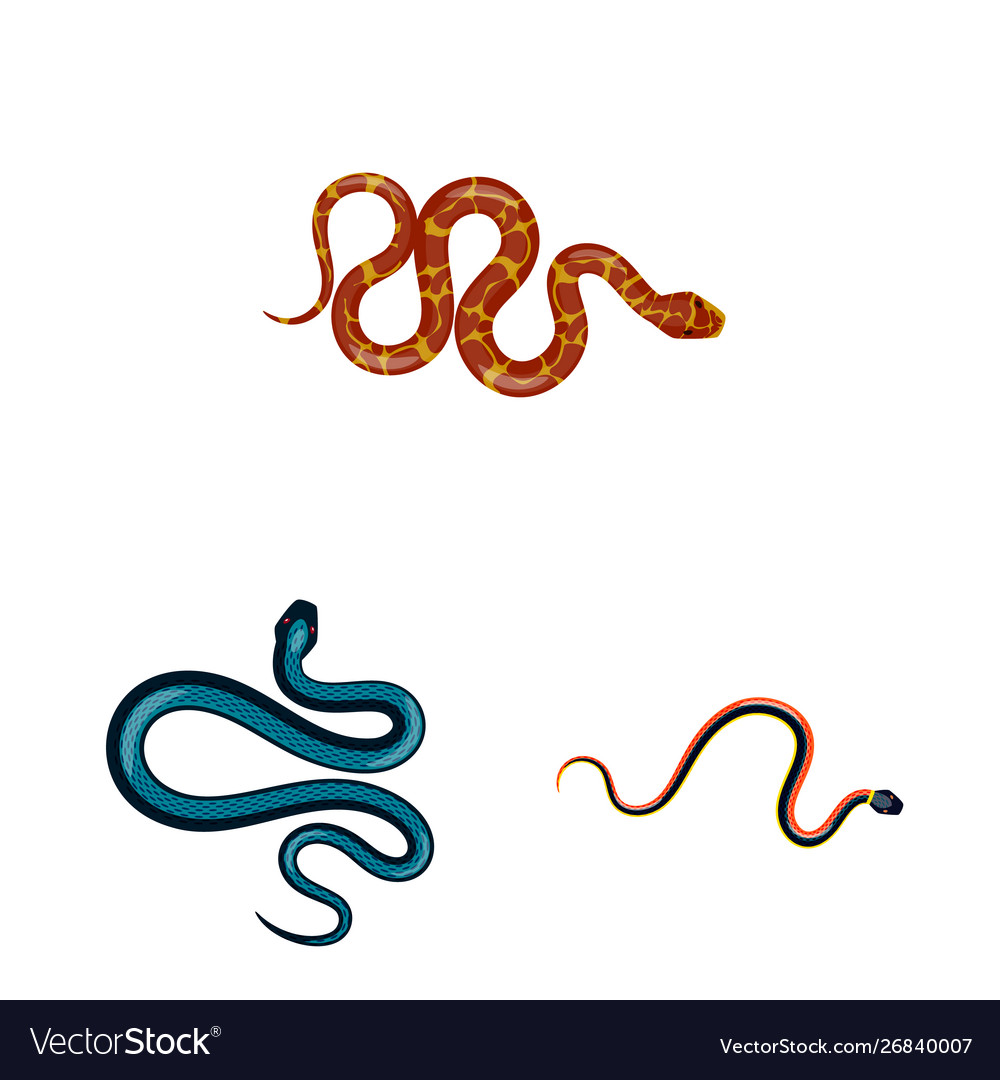 Isolated object poison and evil logo Royalty Free Vector