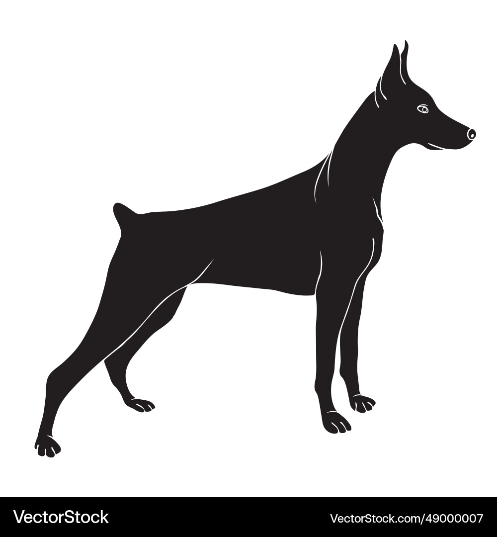 Side doberman dog black Royalty Free Vector Image