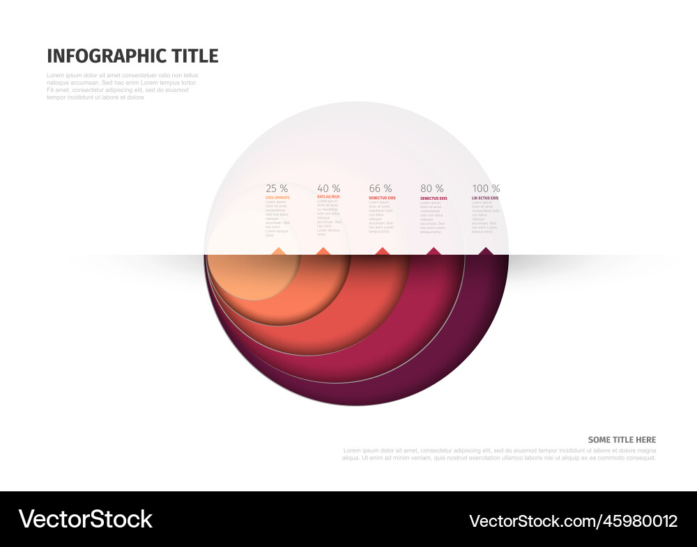 Infographic template with percentages and half Vector Image