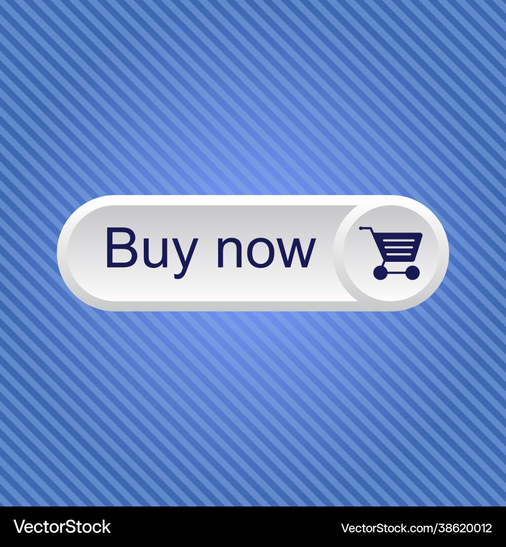 Light gray buy now button with dark blue icon Vector Image