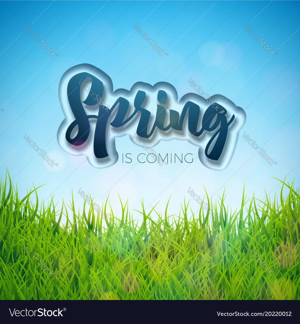 Spring design with nature landscapeon background Vector Image