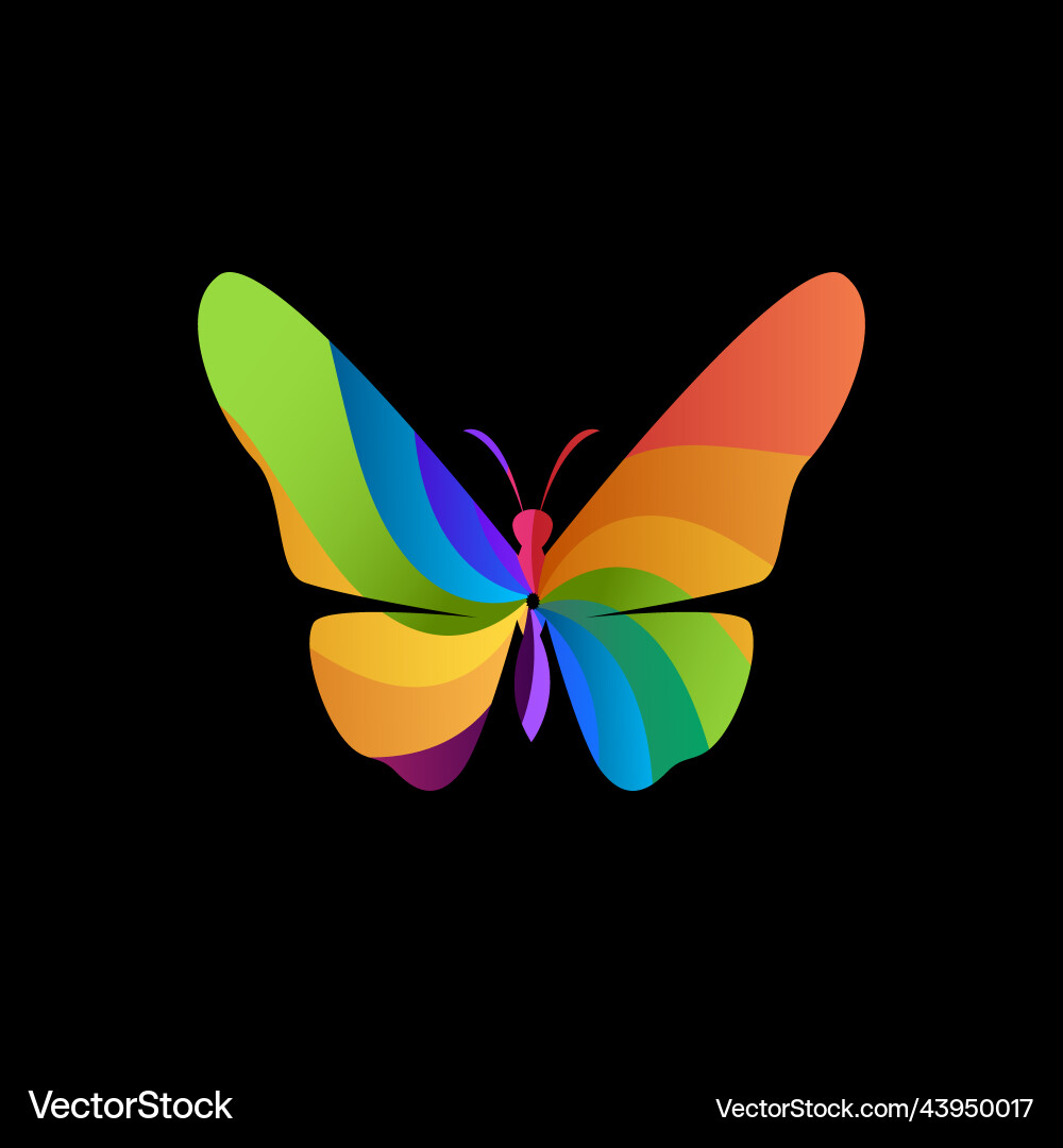 Butterfly abstract colorful logo Royalty Free Vector Image