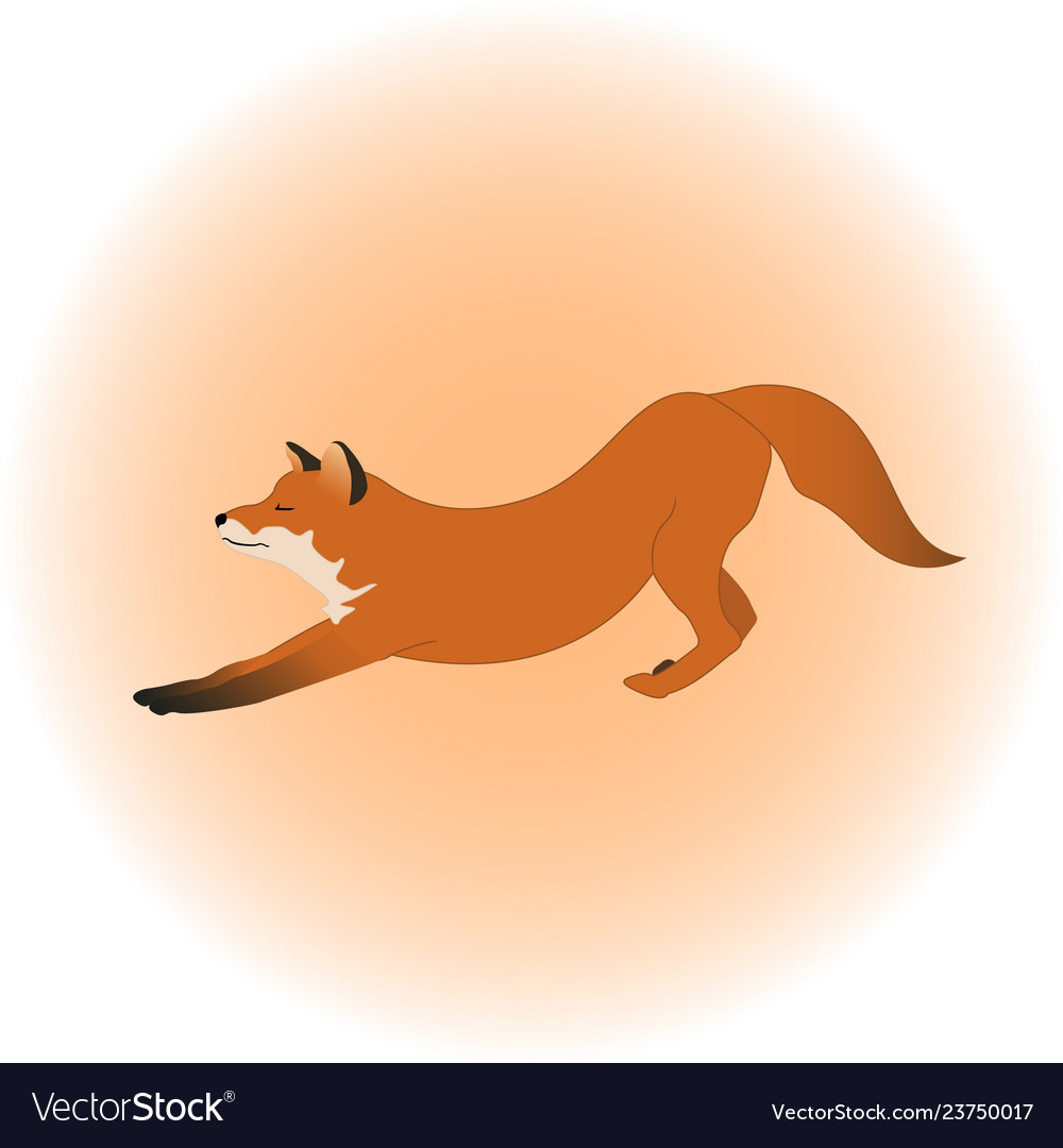 Fox Royalty Free Vector Image - VectorStock