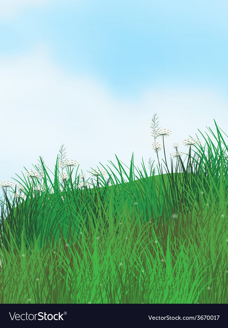Grassland Royalty Free Vector Image Vectorstock