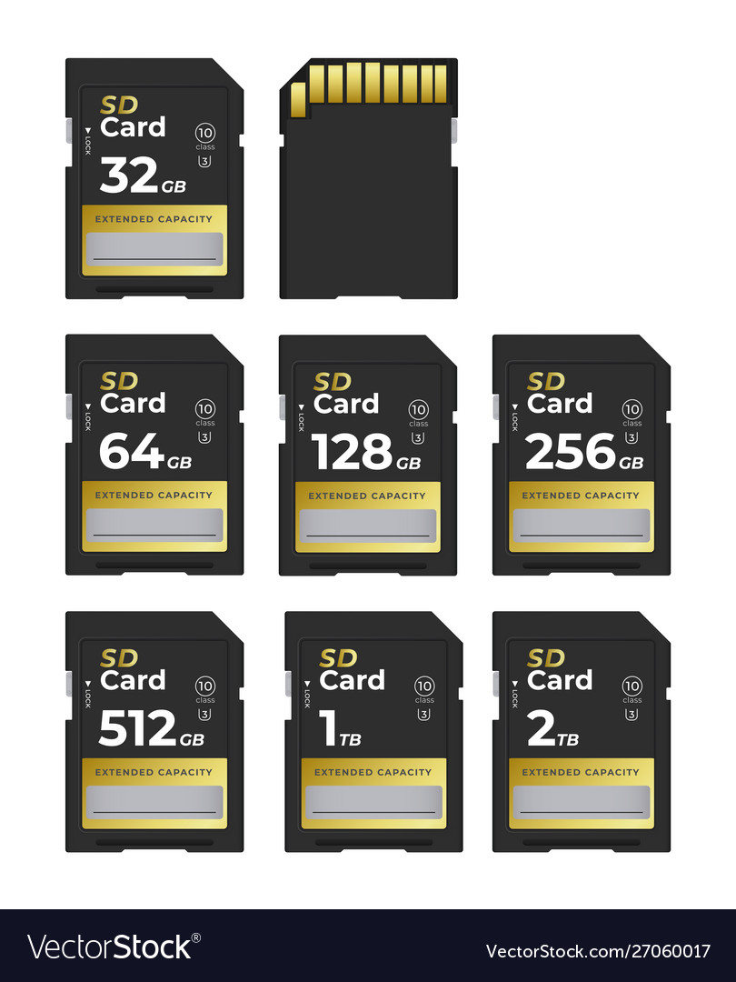 Memory card Royalty Free Vector Image - VectorStock