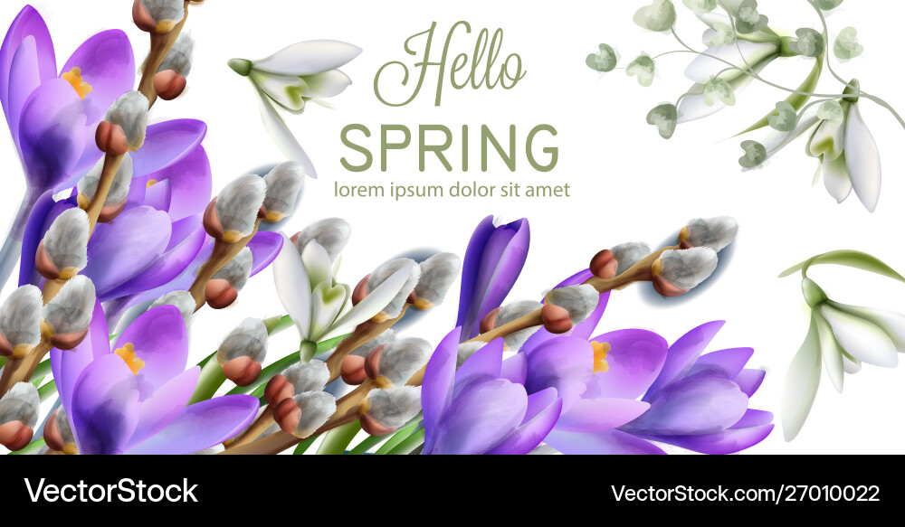Crocus flowers watercolor spring season delicate Vector Image