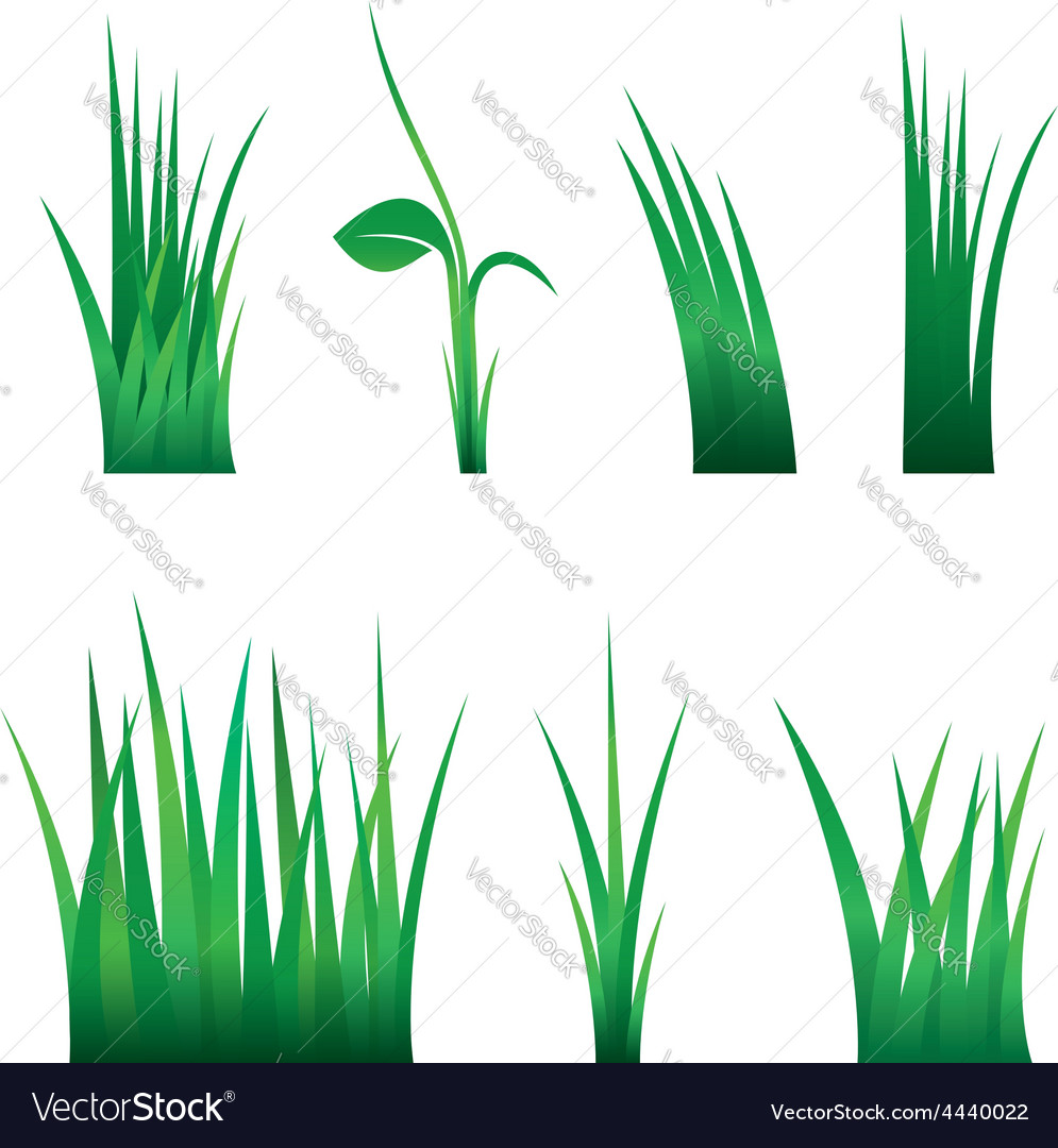 Grass Royalty Free Vector Image - VectorStock