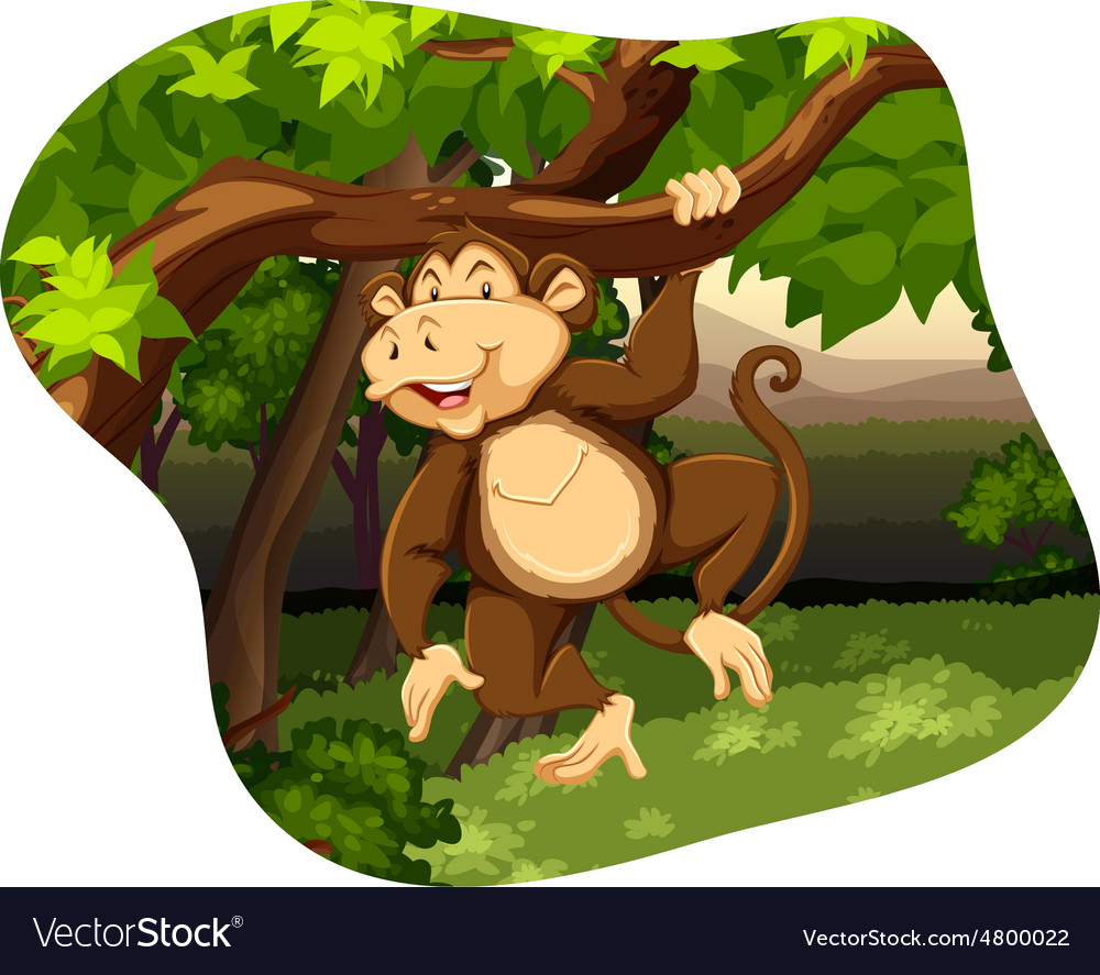 Monkey Royalty Free Vector Image - VectorStock