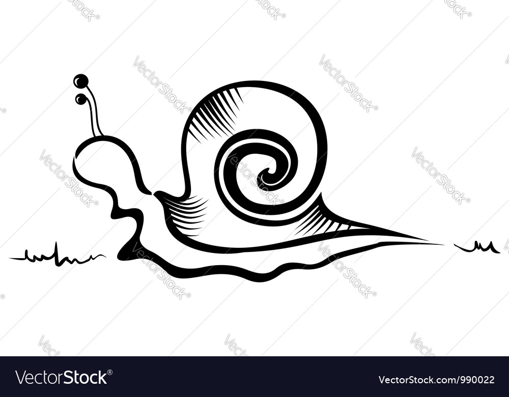 Snail Royalty Free Vector Image - VectorStock