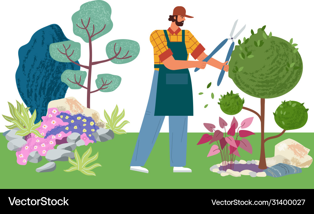 Gardener cuts a tree pruning bushes and garden Vector Image
