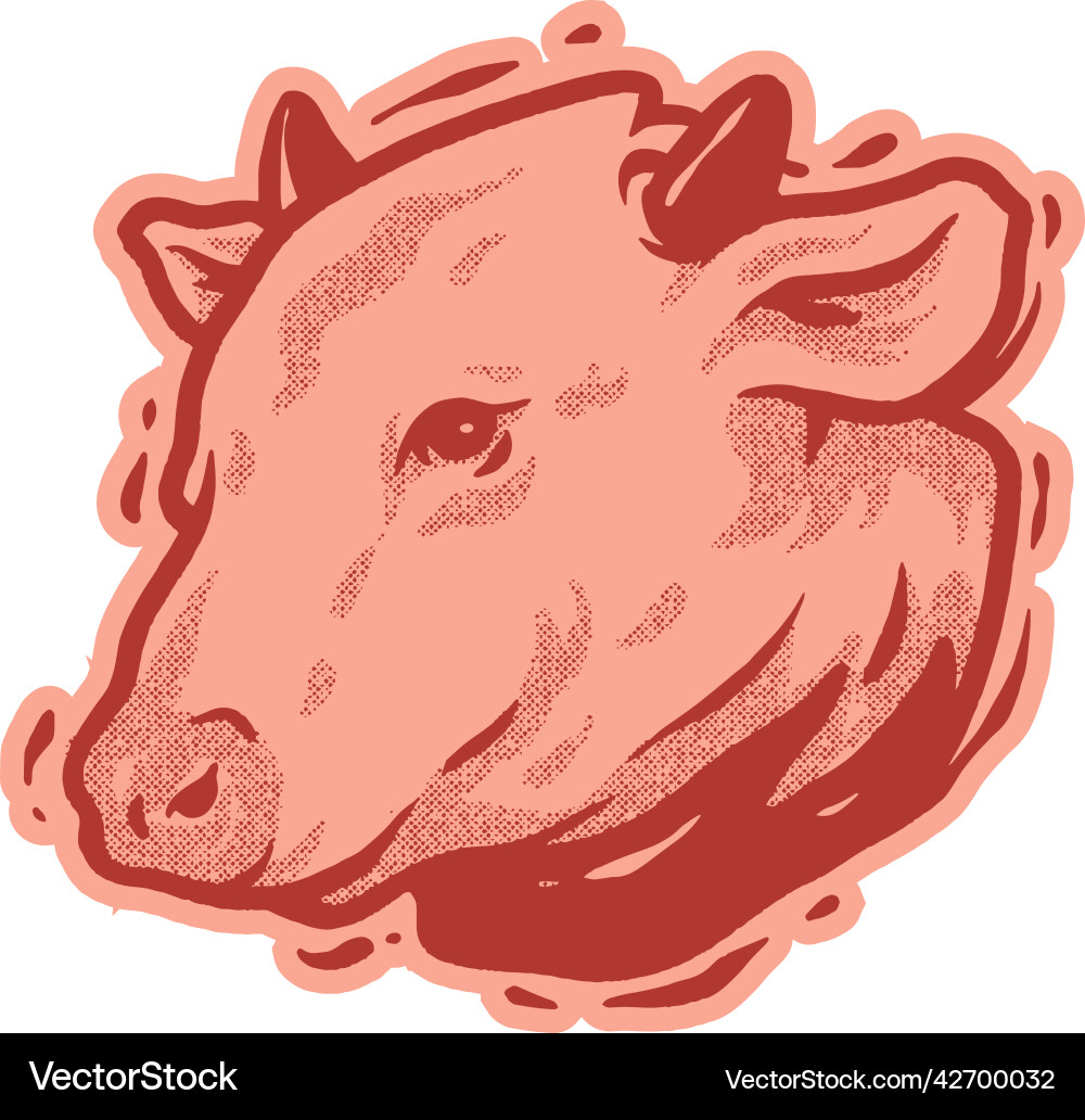 Close up cow face drawing Royalty Free Vector Image