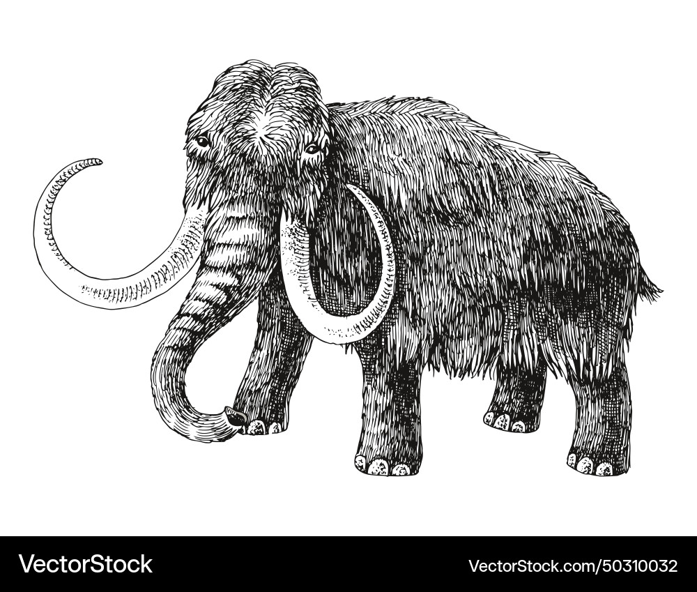 Woolly mammoth extinct animal sketch Royalty Free Vector
