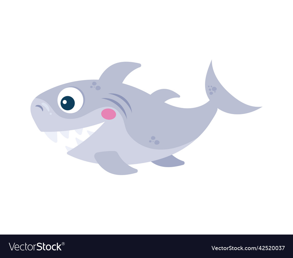 Gray shark sealife creature Royalty Free Vector Image