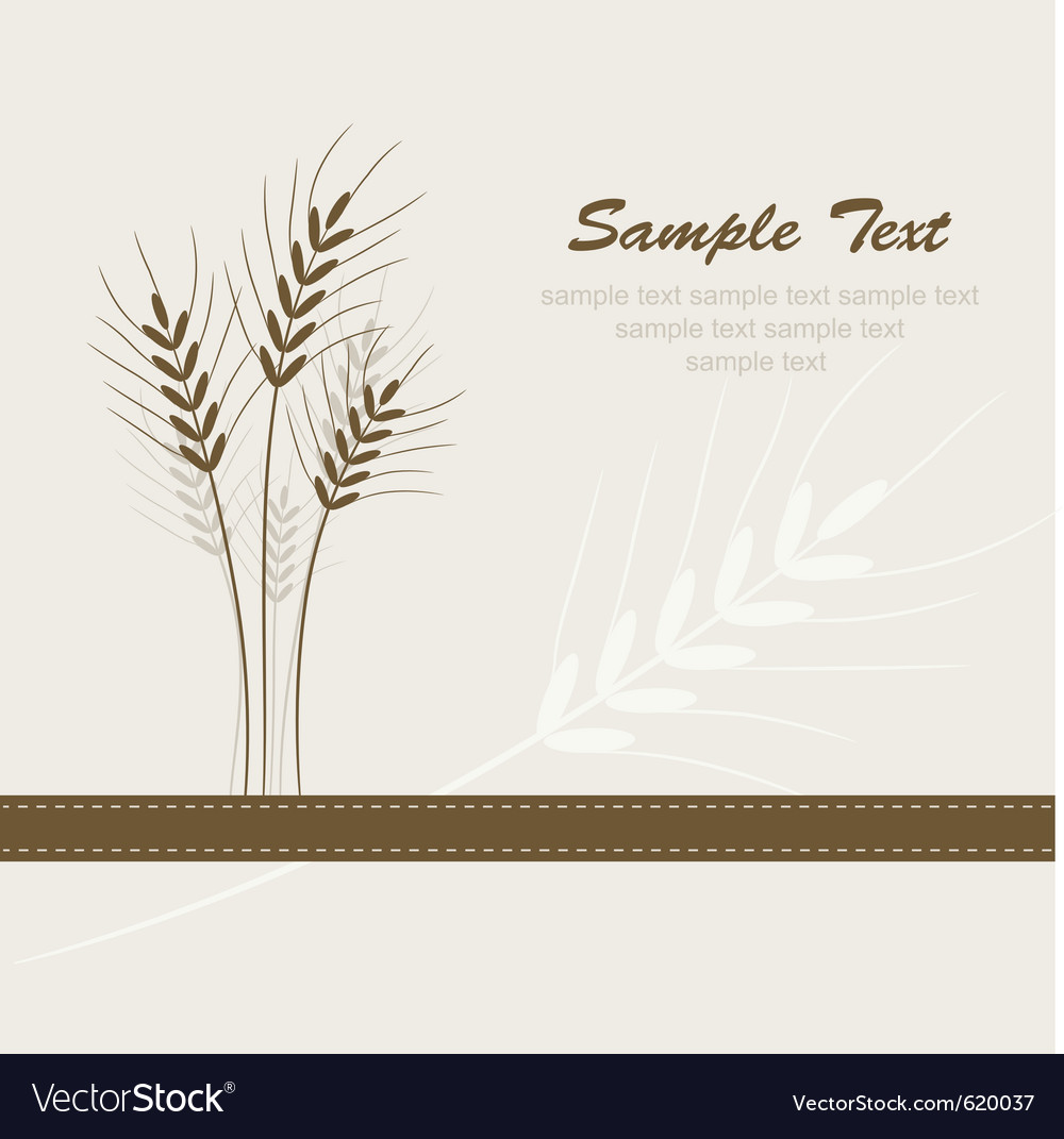 Wheat background Royalty Free Vector Image - VectorStock