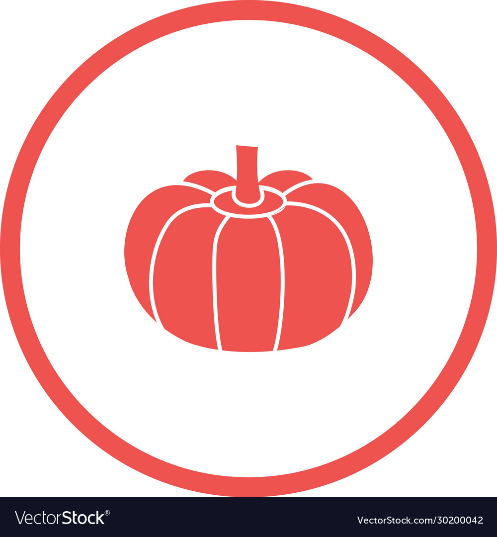 Unique pumpkin glyph icon Royalty Free Vector Image
