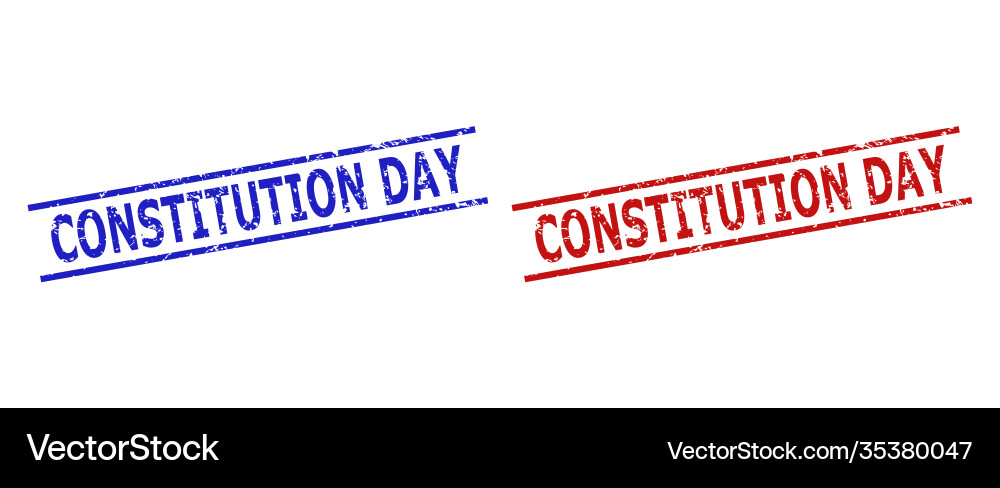 Constitution day watermarks with corroded style Vector Image
