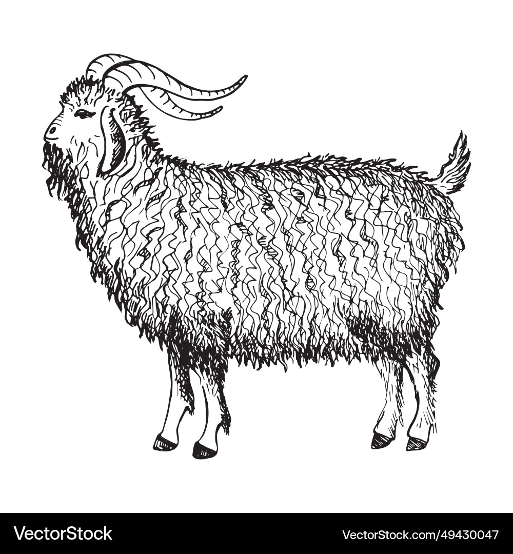 Goat hand drawn with engraving Royalty Free Vector Image