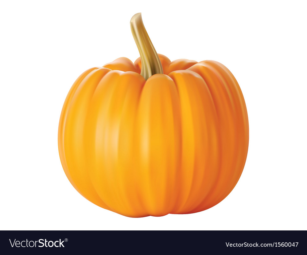 Pumpkin Royalty Free Vector Image - VectorStock