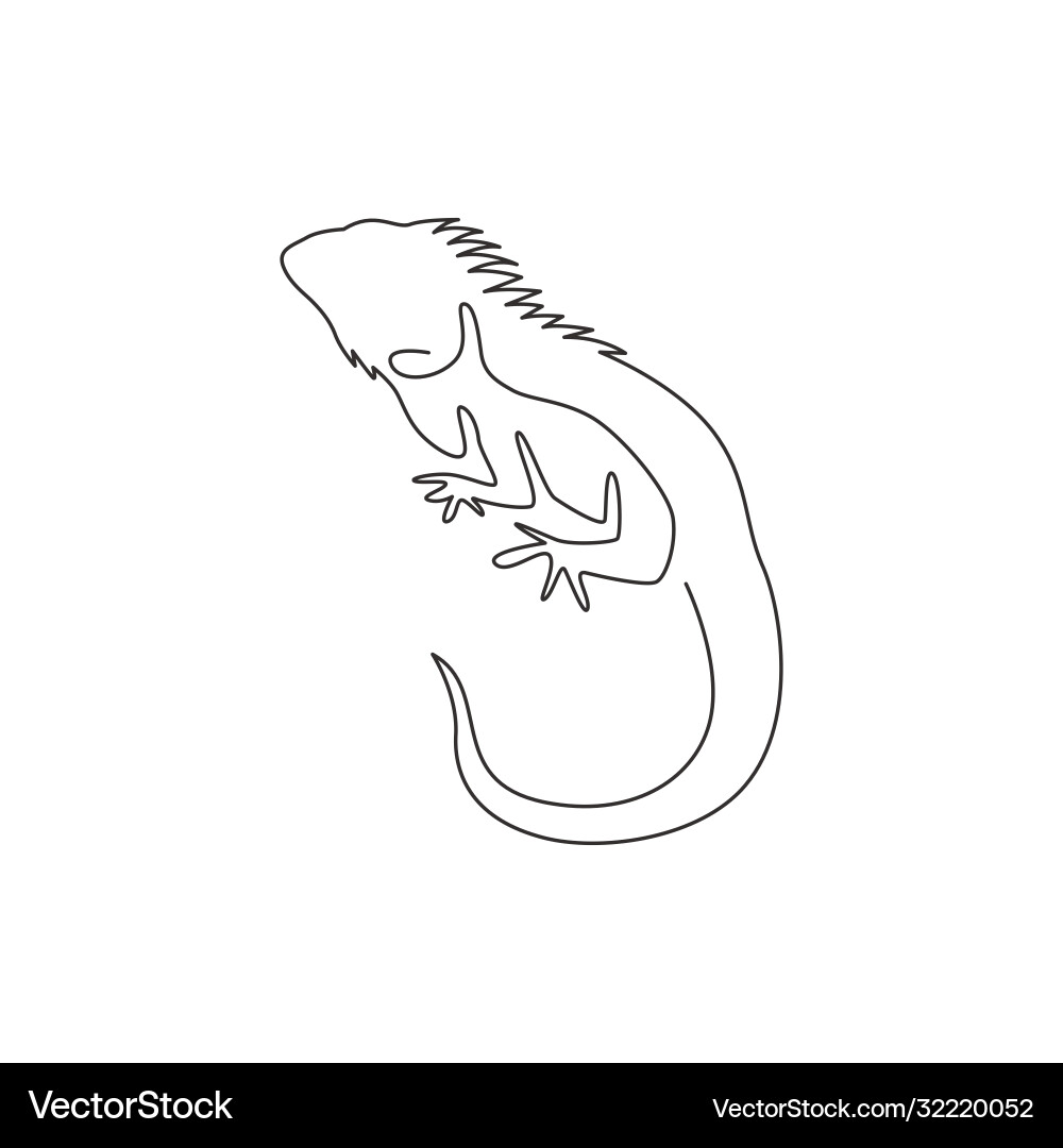 One single line drawing exotic iguana Royalty Free Vector
