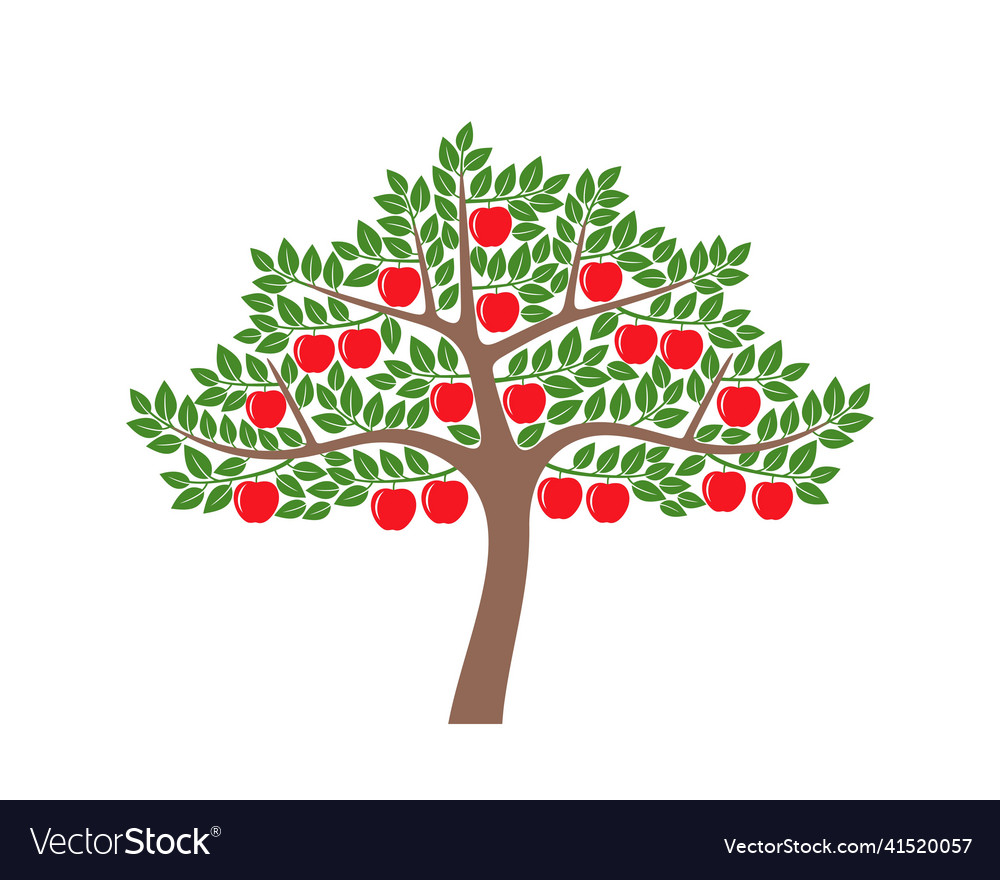 Apple tree Royalty Free Vector Image - VectorStock