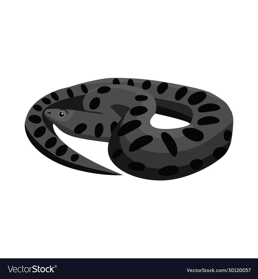 Design python and reptile logo web Royalty Free Vector Image