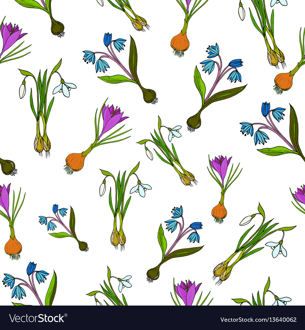 Spring seamless pattern Royalty Free Vector Image