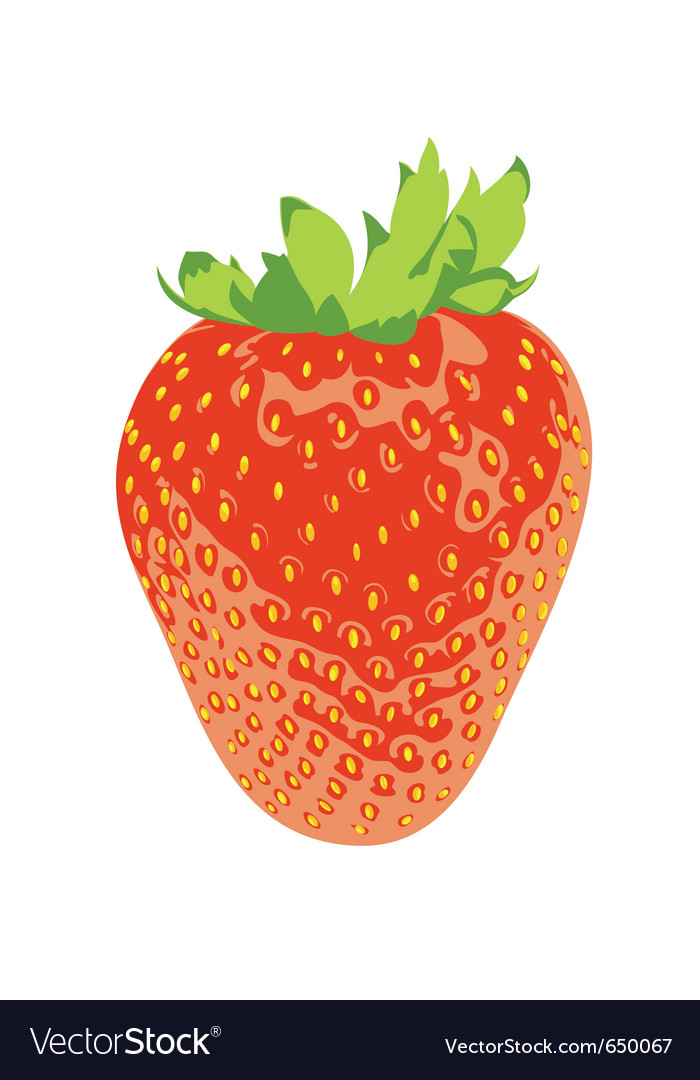 Strawberry Royalty Free Vector Image - VectorStock