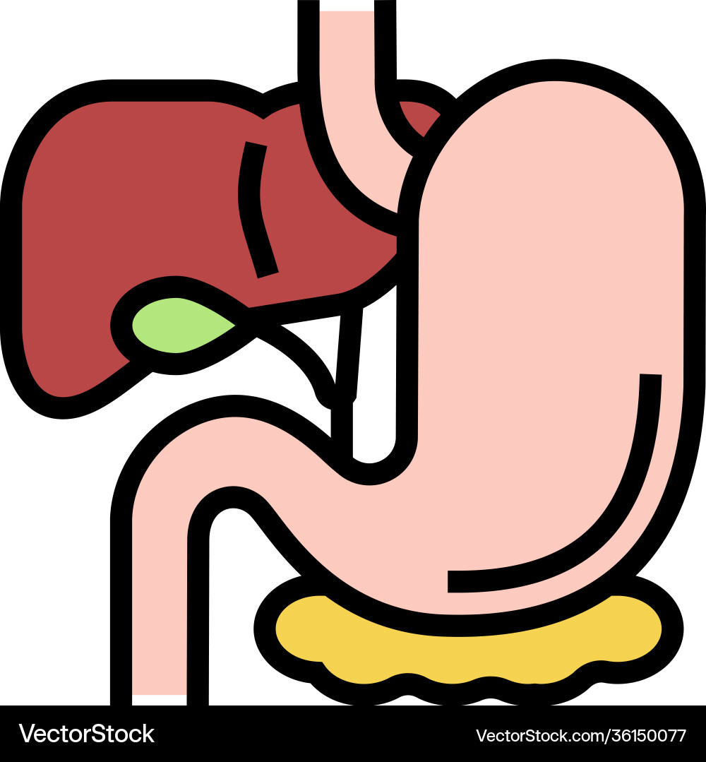 Gastrointestinal tract color icon Royalty Free Vector Image