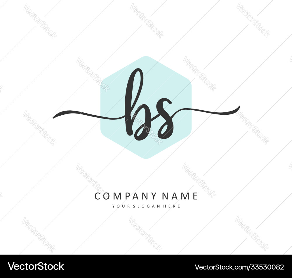 B s bs initial letter handwriting and signature Vector Image