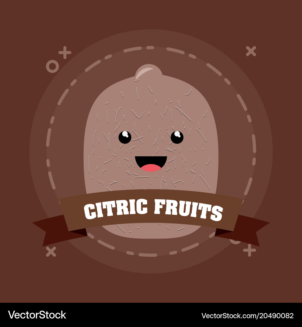 Citric fruits design Royalty Free Vector Image