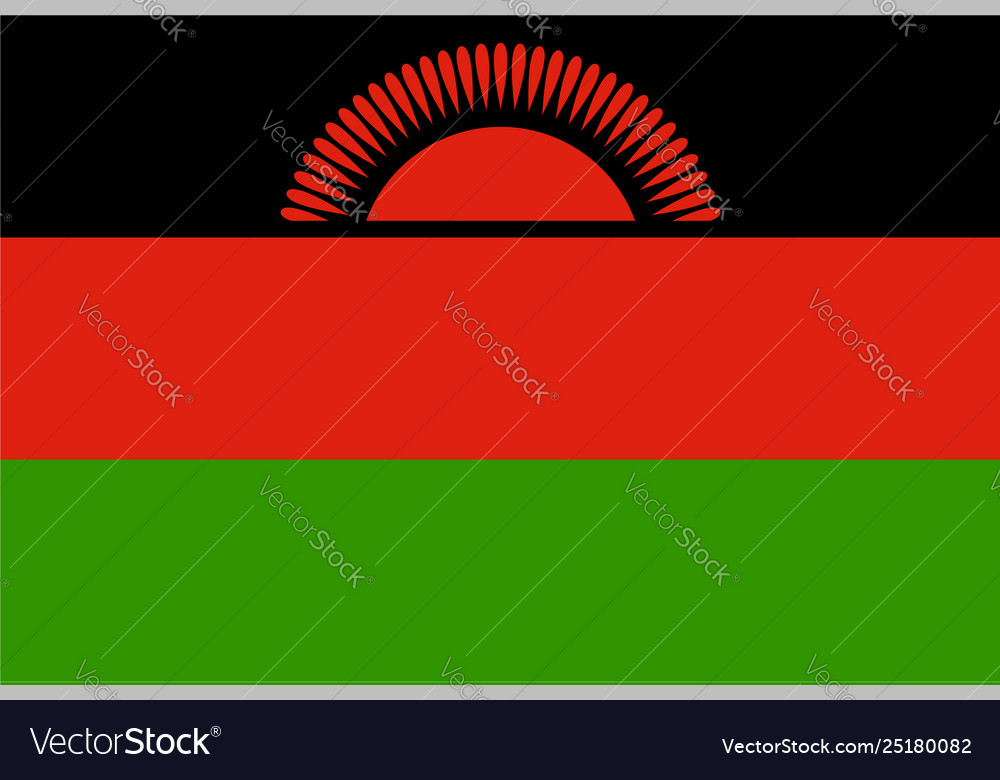 Flag rectangular shape Royalty Free Vector Image