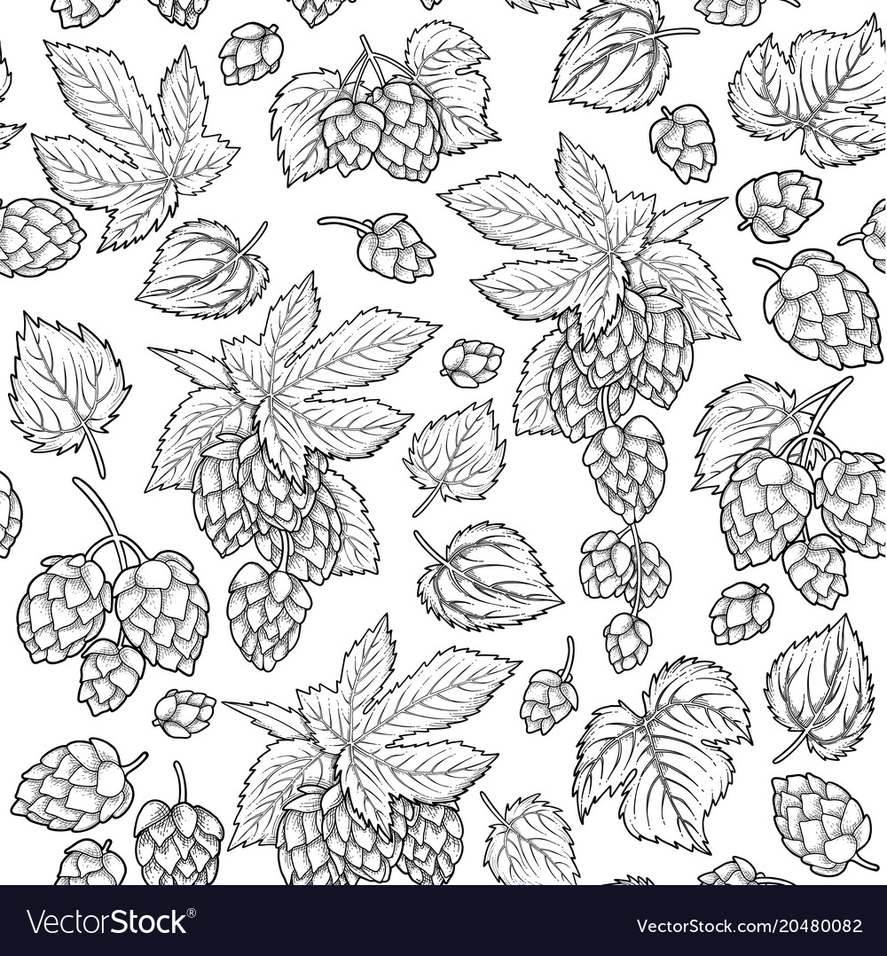 Graphic hops pattern Royalty Free Vector Image