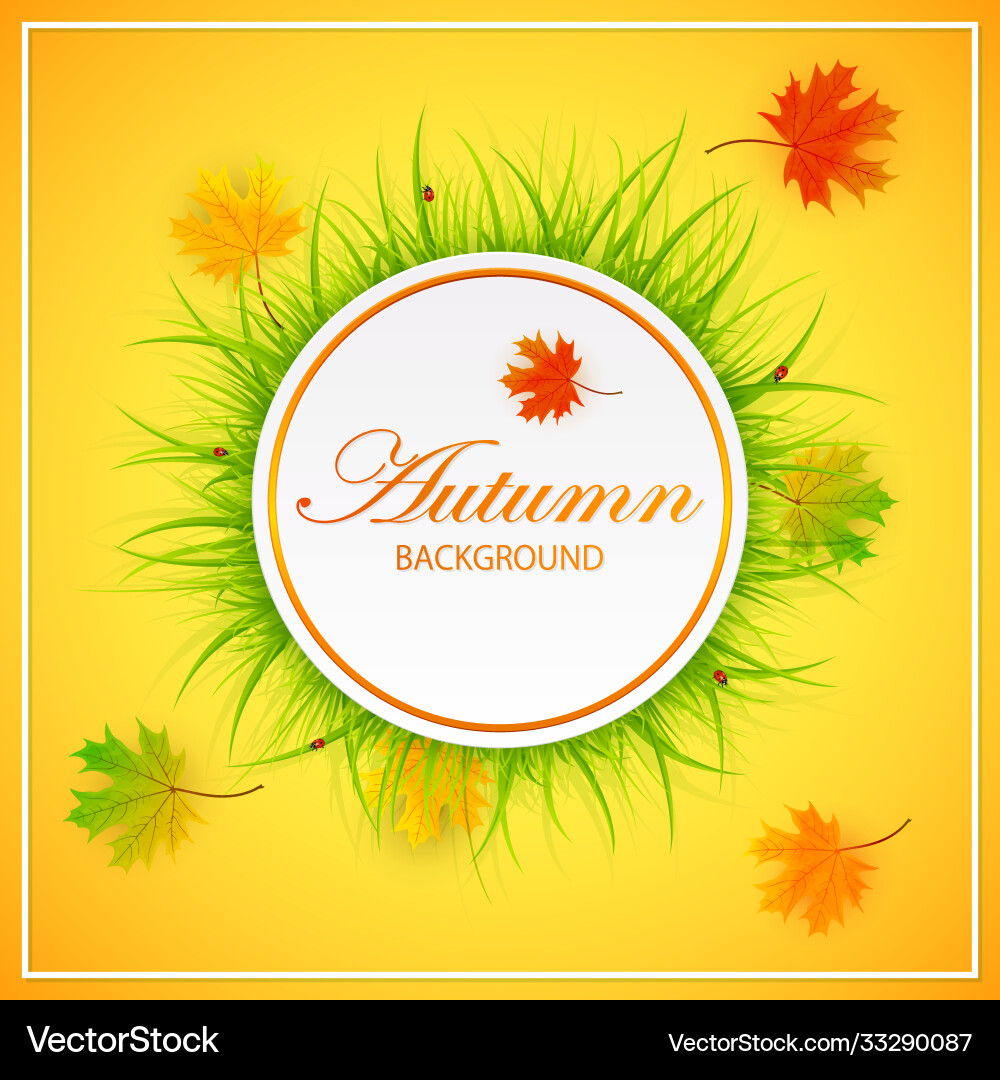 Autumn orange background with grass and leaves Vector Image