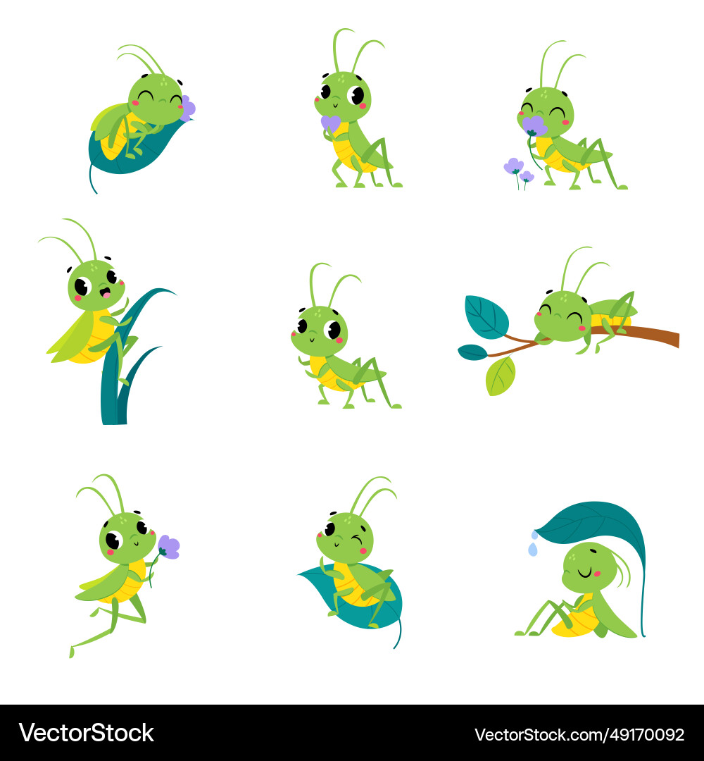 Cute green grasshopper character engaged Vector Image