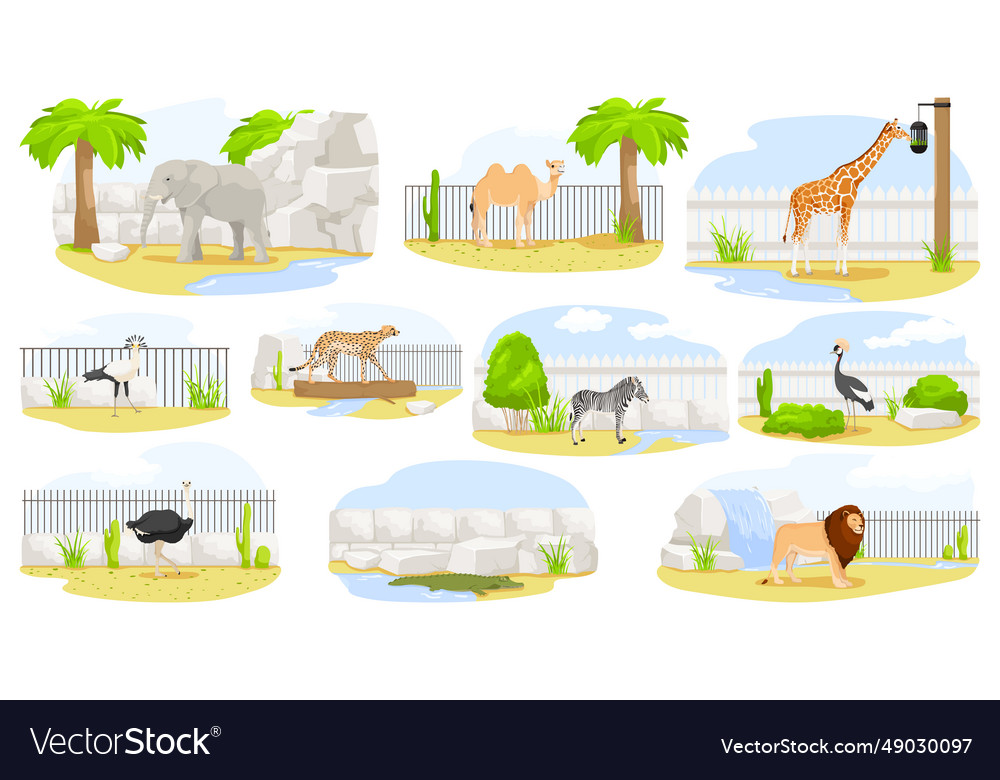 Cartoon zoo safari enclosure set of elephant Vector Image