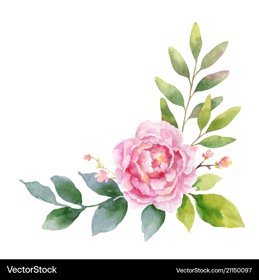 Watercolor hand painting Royalty Free Vector Image