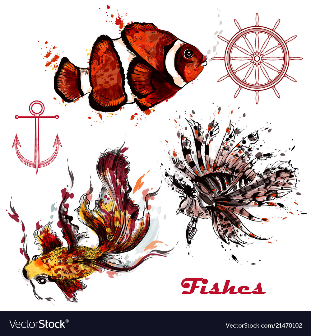 Set hand drawn fishes in watercolor style Vector Image Set hand drawn fishes in watercolor style Vector Image