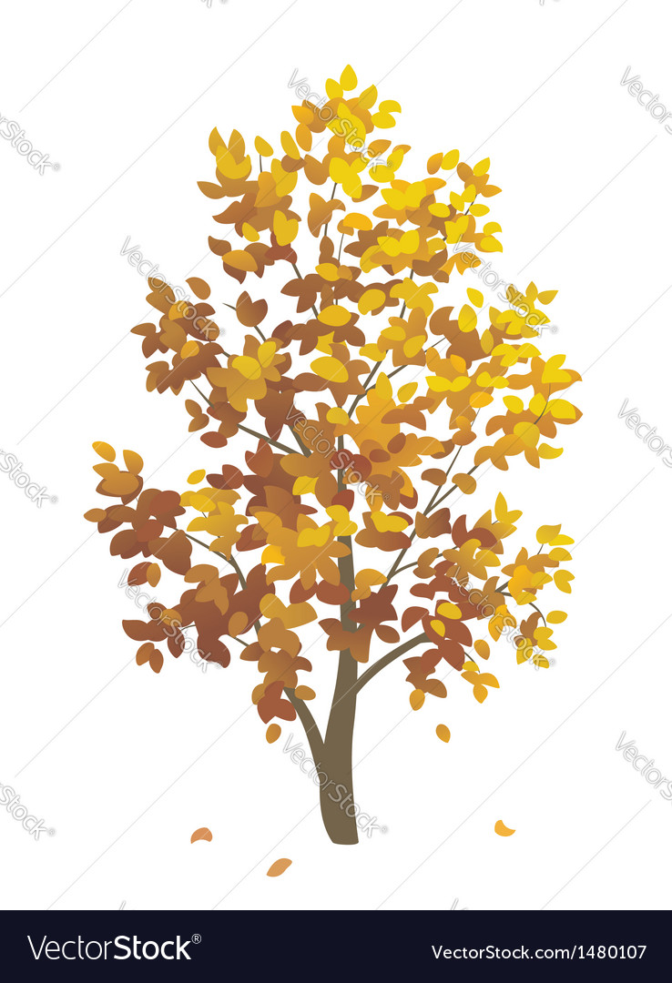 Autumn tree Royalty Free Vector Image - VectorStock