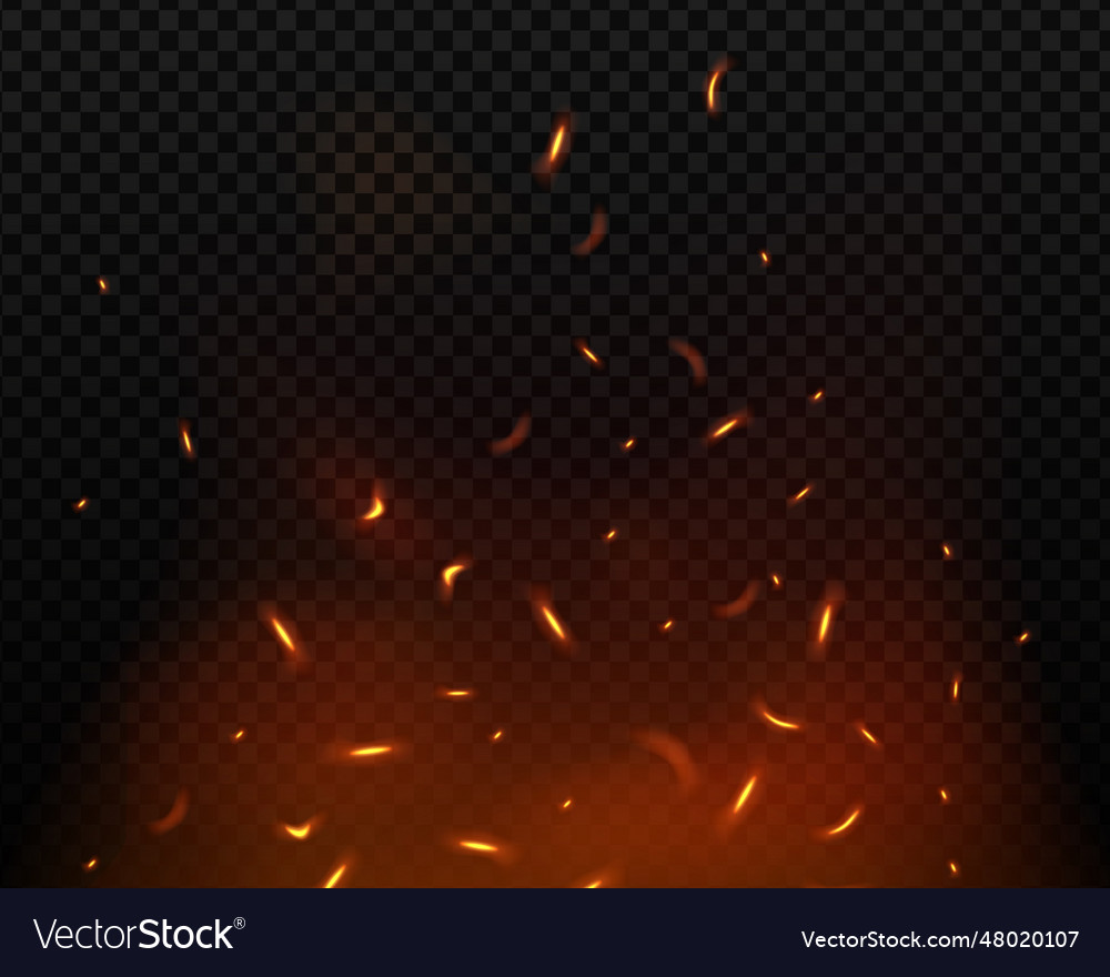 Fire sparks background Royalty Free Vector Image