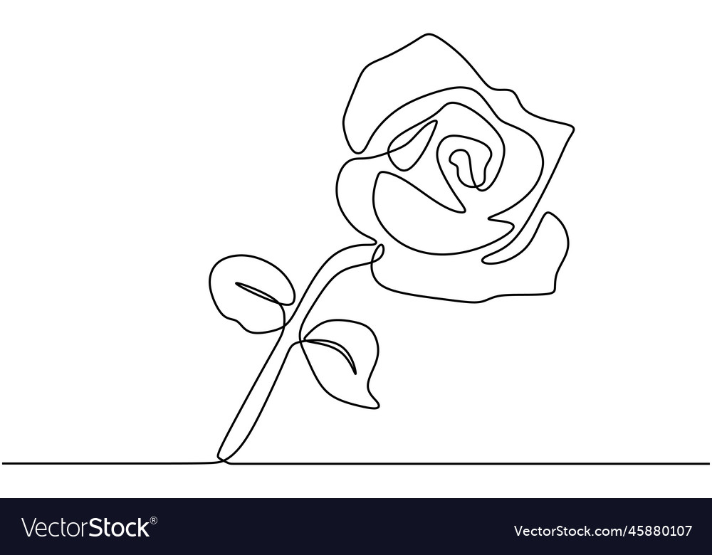 One line rose flower hand drawn minimalism style Vector Image