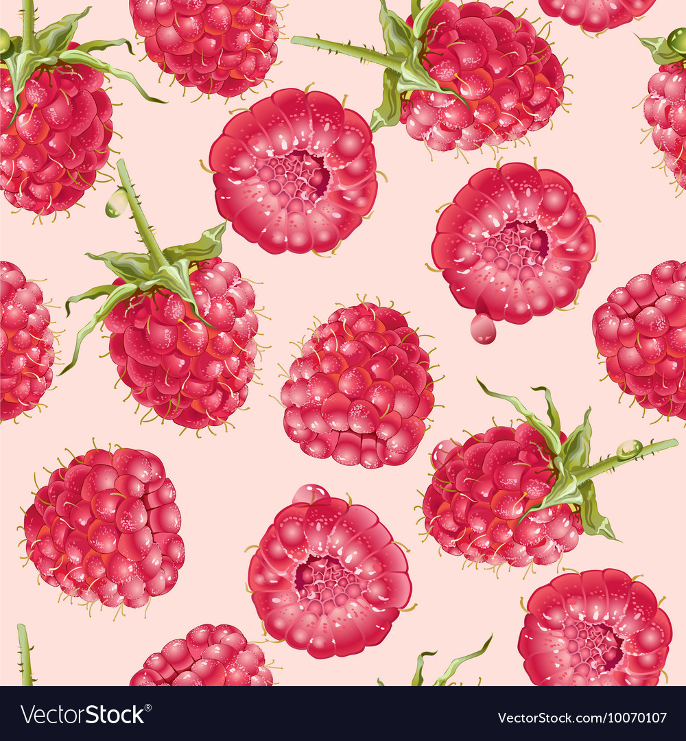 Raspberry seamless pattern Royalty Free Vector Image