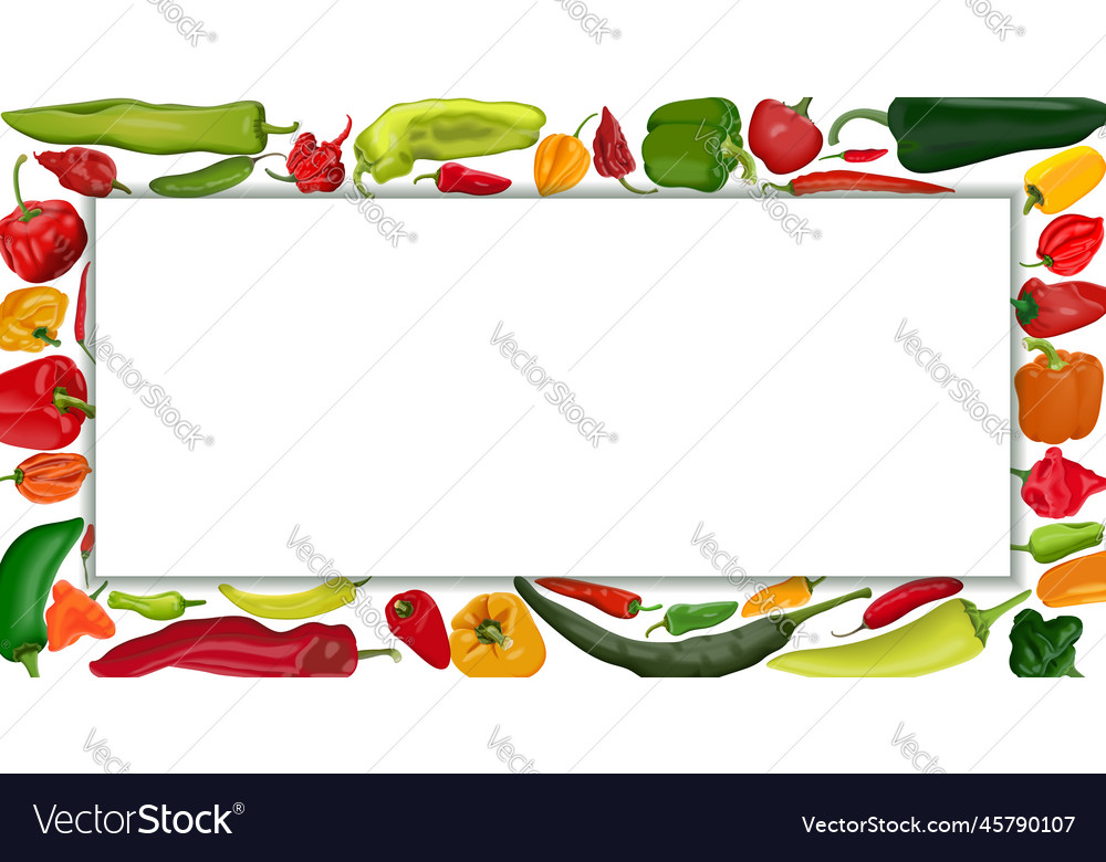 Rectangular banner with different types Royalty Free Vector