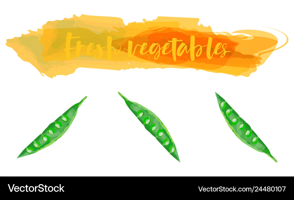 Vegetables food watercolor Royalty Free Vector Image