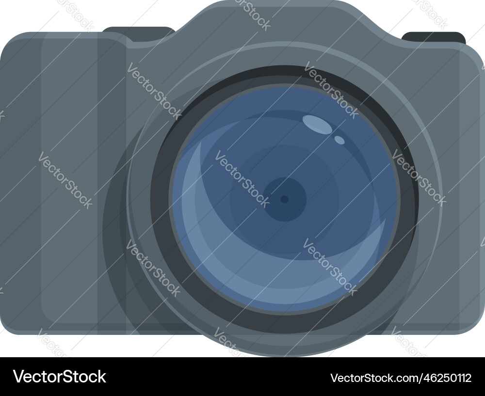 Modern camera icon cartoon digital photo Vector Image