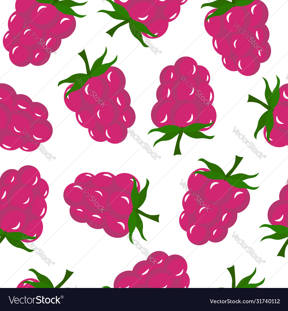 Pattern pink raspberry on white background Vector Image