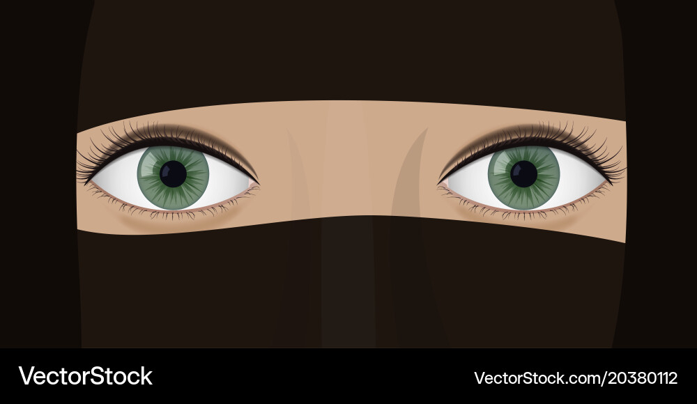 Young woman in burqa Royalty Free Vector Image