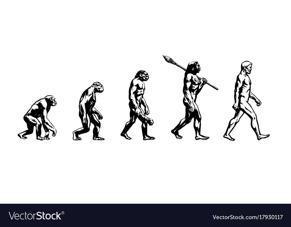 Evolution man Royalty Free Vector Image - VectorStock